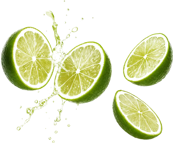 About Us - Fresh Food Panama | Trusted Exporters from Central America ...